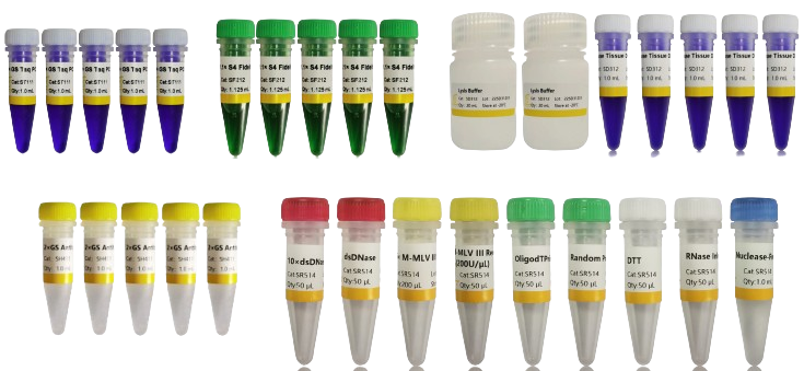 PCR & RT-PCR – Bio Gateway