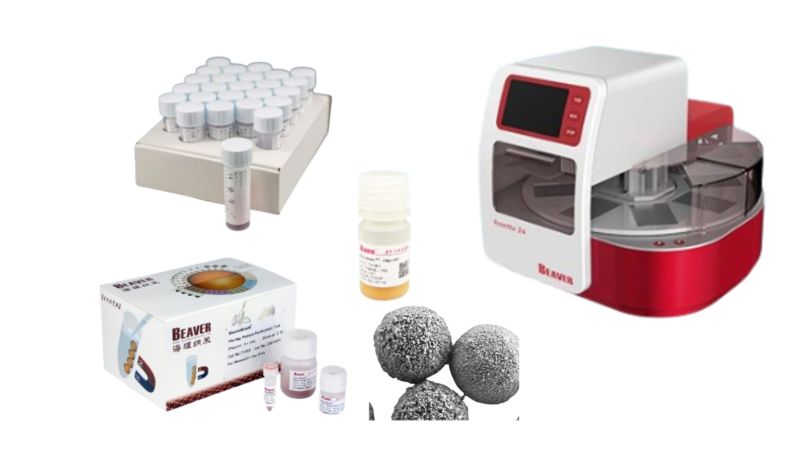 Magnetic Beads – Bio Gateway