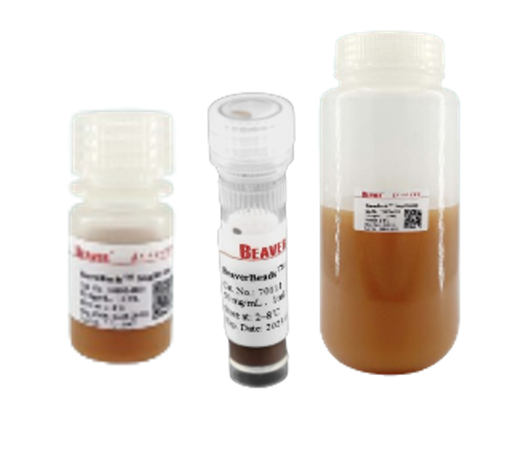 SiO2 Magentic Beads – Bio Gateway